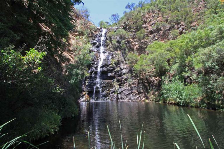 Hiking in Adelaide - 5 top Walking Trails