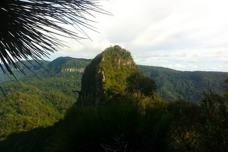Top 3 Hikes in the Gold Coast Hinterland | Snowys Blog