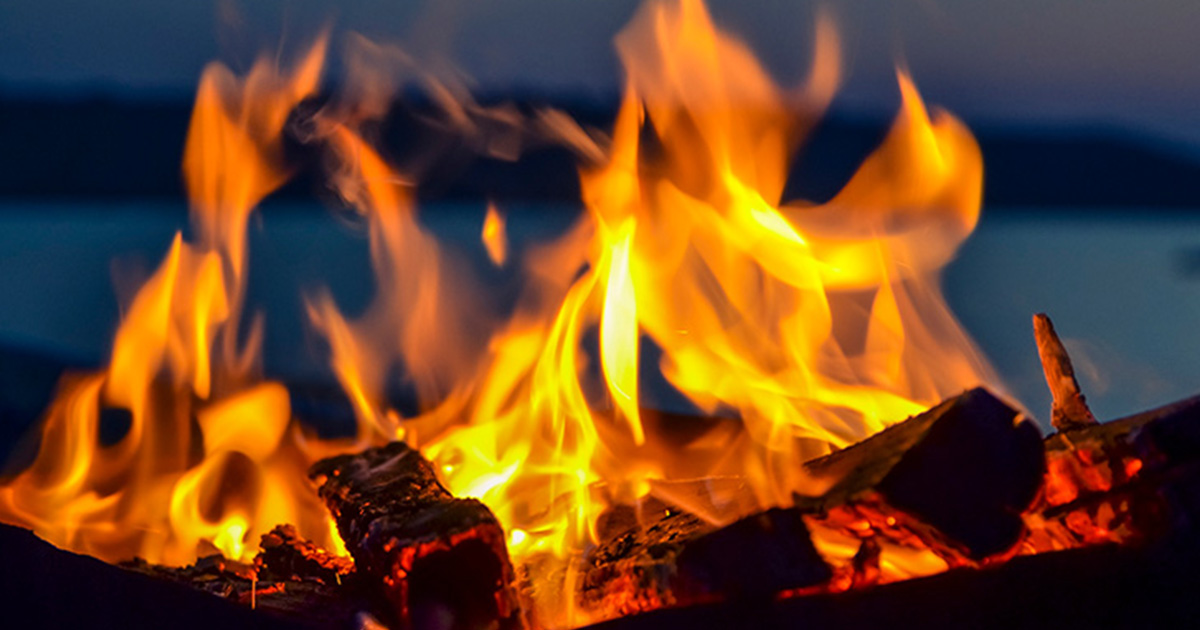 How to Choose Wood for Campfires | Snowys Blog