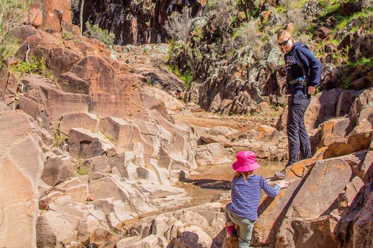 A Spring Adventure in the Flinders Ranges