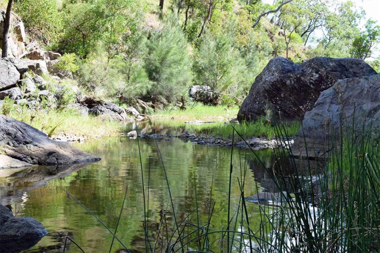 A 4WD Adventure at Landcruiser Mountain Park | Snowys Blog