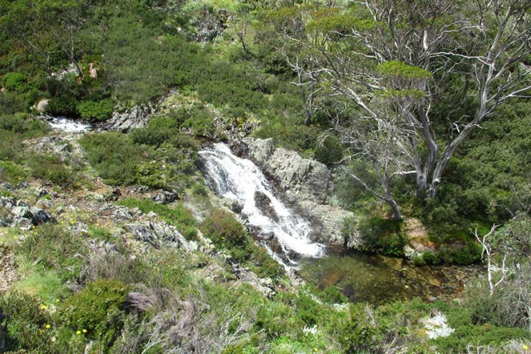 Guide to Hiking Mt Bogong and Feathertop | Snowys Blog