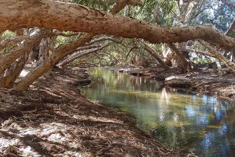 Exploring Marble Bar - Australia's Hottest Town | Snowys Blog
