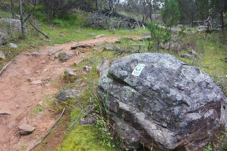 Guide to Walking the Lavender Federation Trail | Snowys Blog