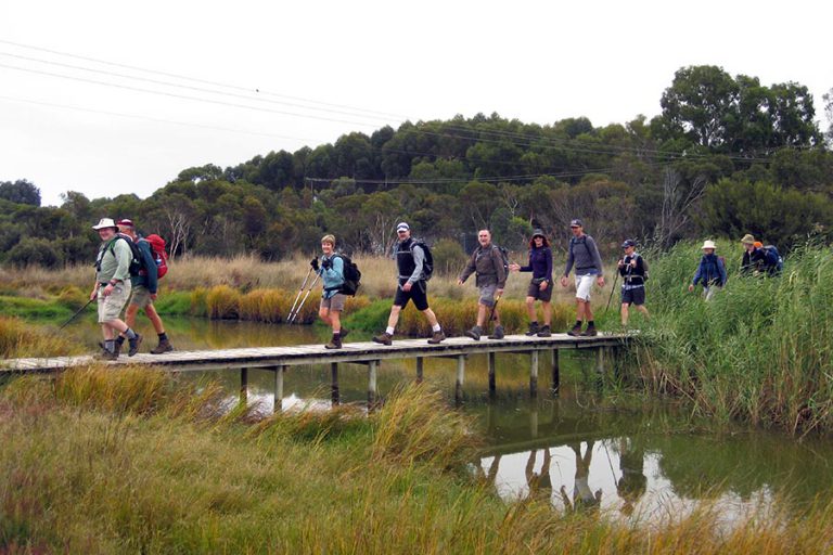 Guide to Walking the Lavender Federation Trail | Snowys Blog