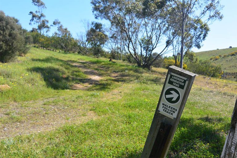 Guide to Walking the Lavender Federation Trail | Snowys Blog