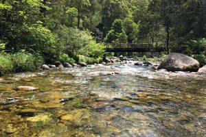 Visiting the Victorian High Country in Summer | Snowys Blog