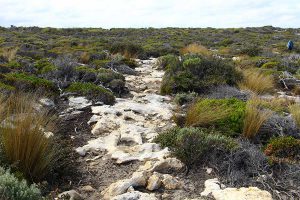 Guide to Hiking the Kangaroo Island Wilderness Trail | Snowys Blog