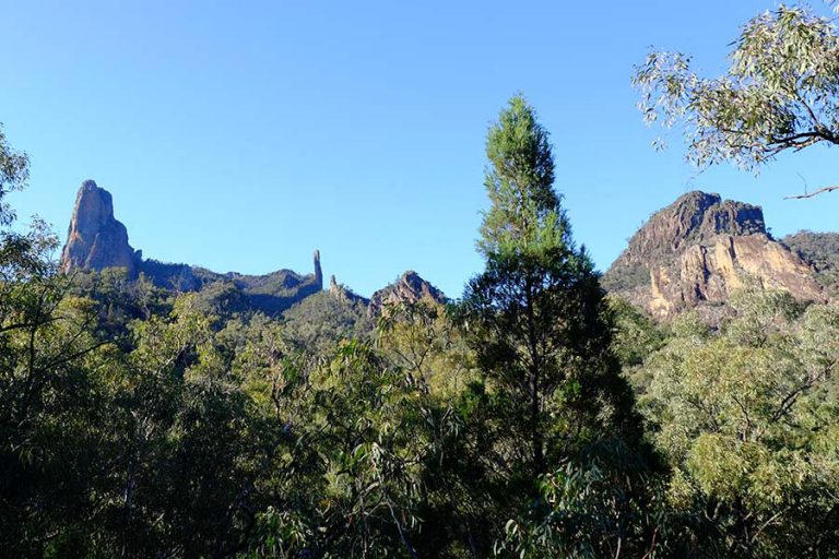 Hiking and Camping in Warrumbungle National Park, NSW | Snowys Blog