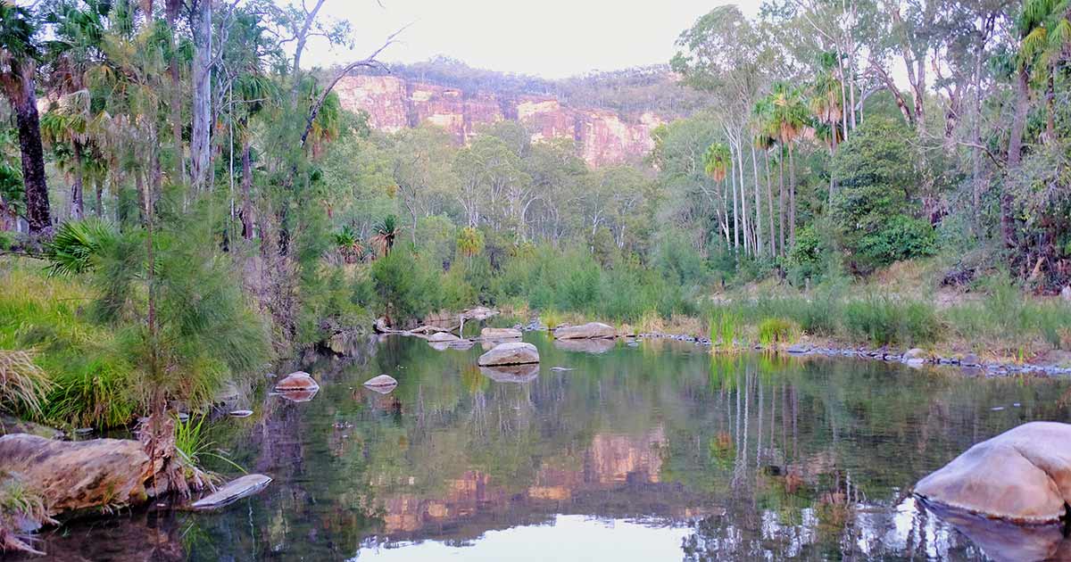Hiking the Carnarvon Gorge Great Walk, Queensland | Snowys Blog