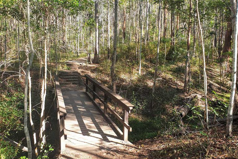10 Family Friendly Walks Under 10ks - North Brisbane | Snowys Blog