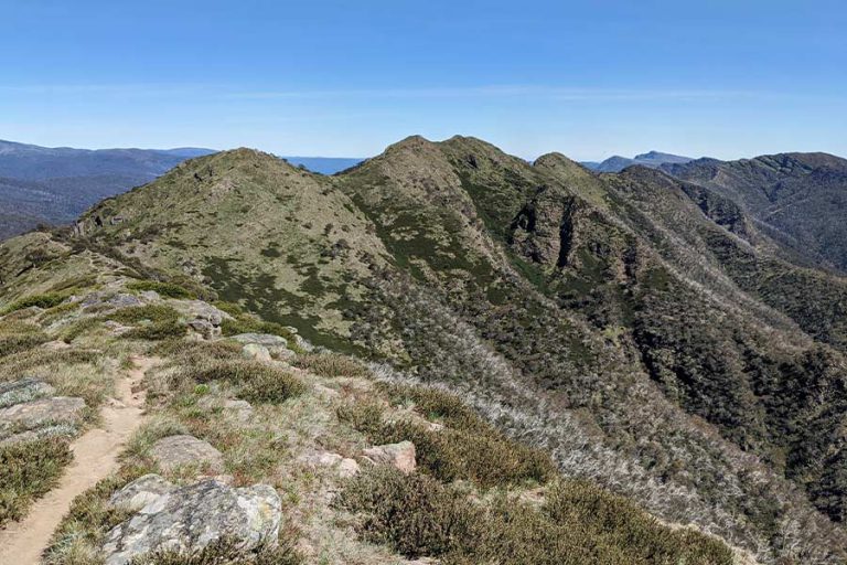 Hiking Mount Howitt in the Victorian Alps | Snowys Blog