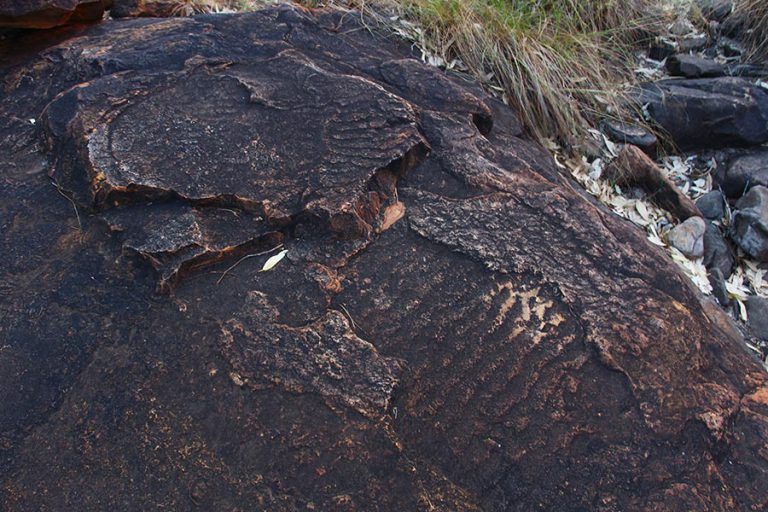 An Adventure Through Central Australia | Snowys Blog