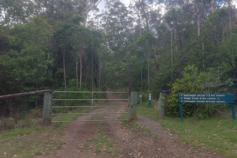 Camping & Hiking in Gordon Country | Snowys Blog