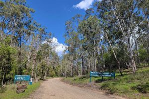 Camping & Hiking in Gordon Country | Snowys Blog