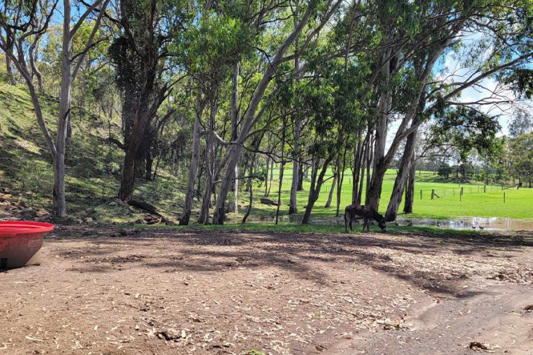 Camping & Hiking in Gordon Country | Snowys Blog