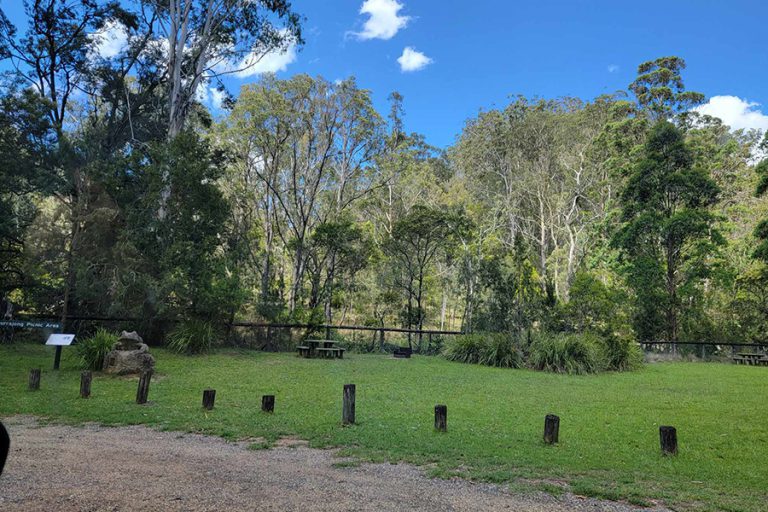 Camping & Hiking in Gordon Country | Snowys Blog